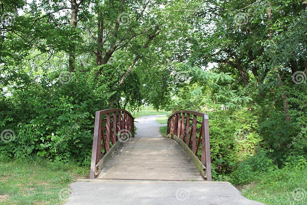Bridge outside stock image. Image of green, woods, bridge - 192845555