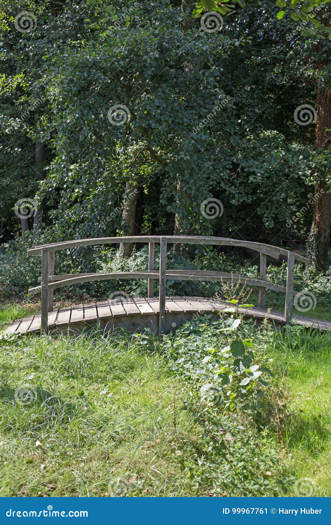 Bridge Over a Brook in a Forest Stock Image - Image of path, railing ...