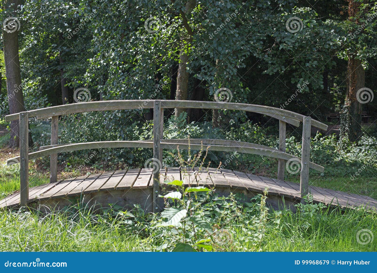 Bridge Over a Brook in a Forest Stock Image - Image of forest, rail ...