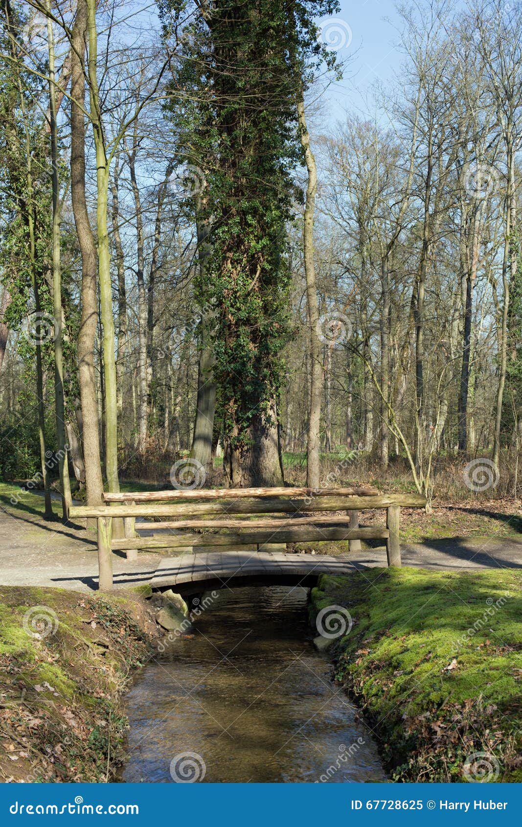 Bridge Over a Brook in a Forest Stock Image - Image of railing, idyll ...