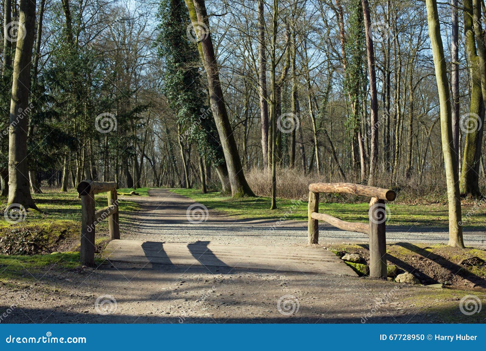 Bridge Over a Brook in a Forest Stock Photo - Image of romantic, wooden ...