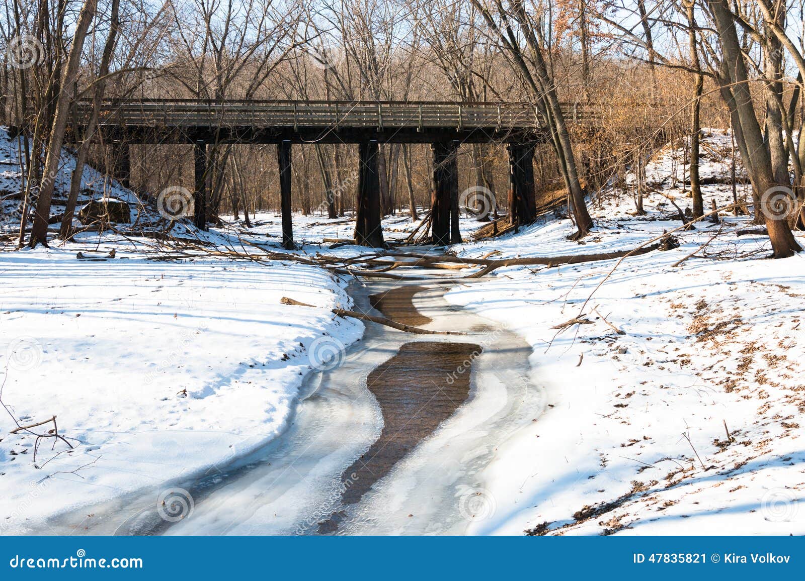 Bridge Over a Brook in Winter Forest Stock Image - Image of woods, flow ...