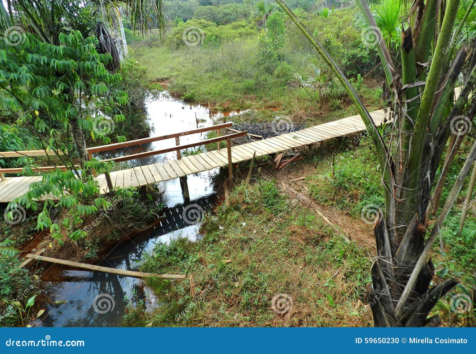 Bridge over brook stock photo. Image of brazil, walkway - 59650230