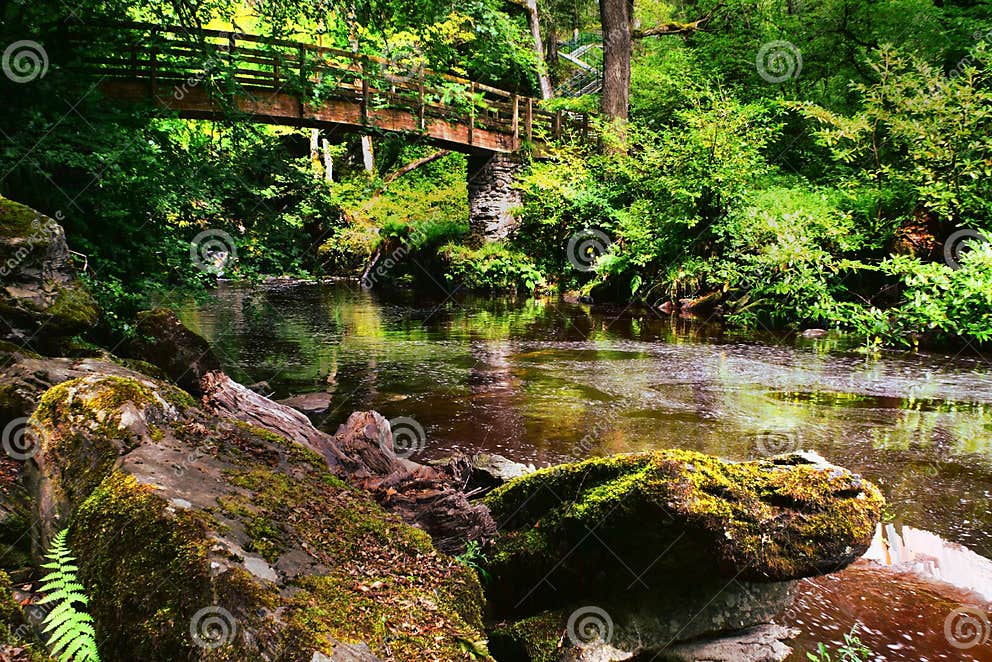 Bridge Over Burntollet River Stock Image - Image of season, derry ...