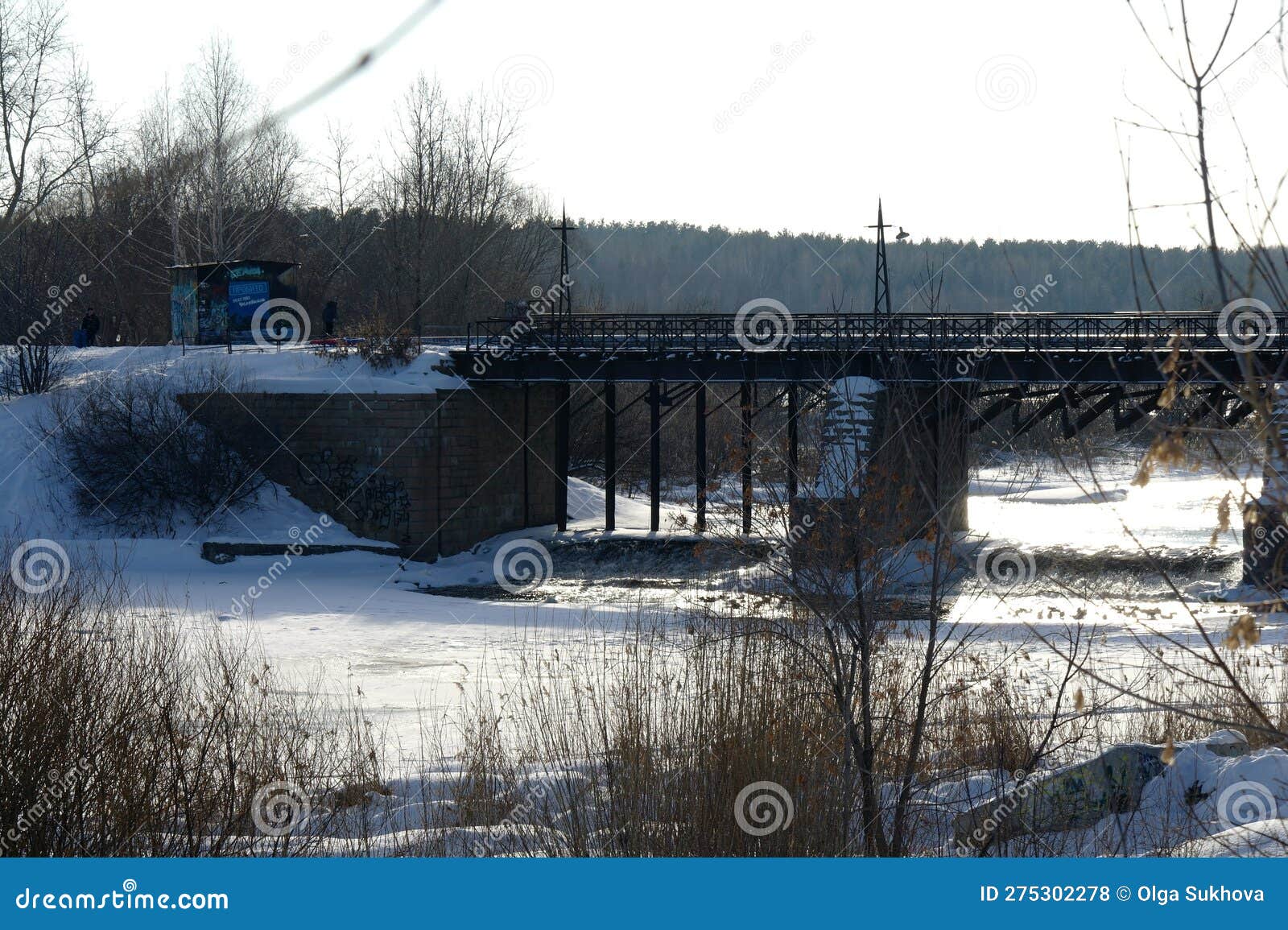 Bridge Over City River with Ducks Stock Photo - Image of people, city ...