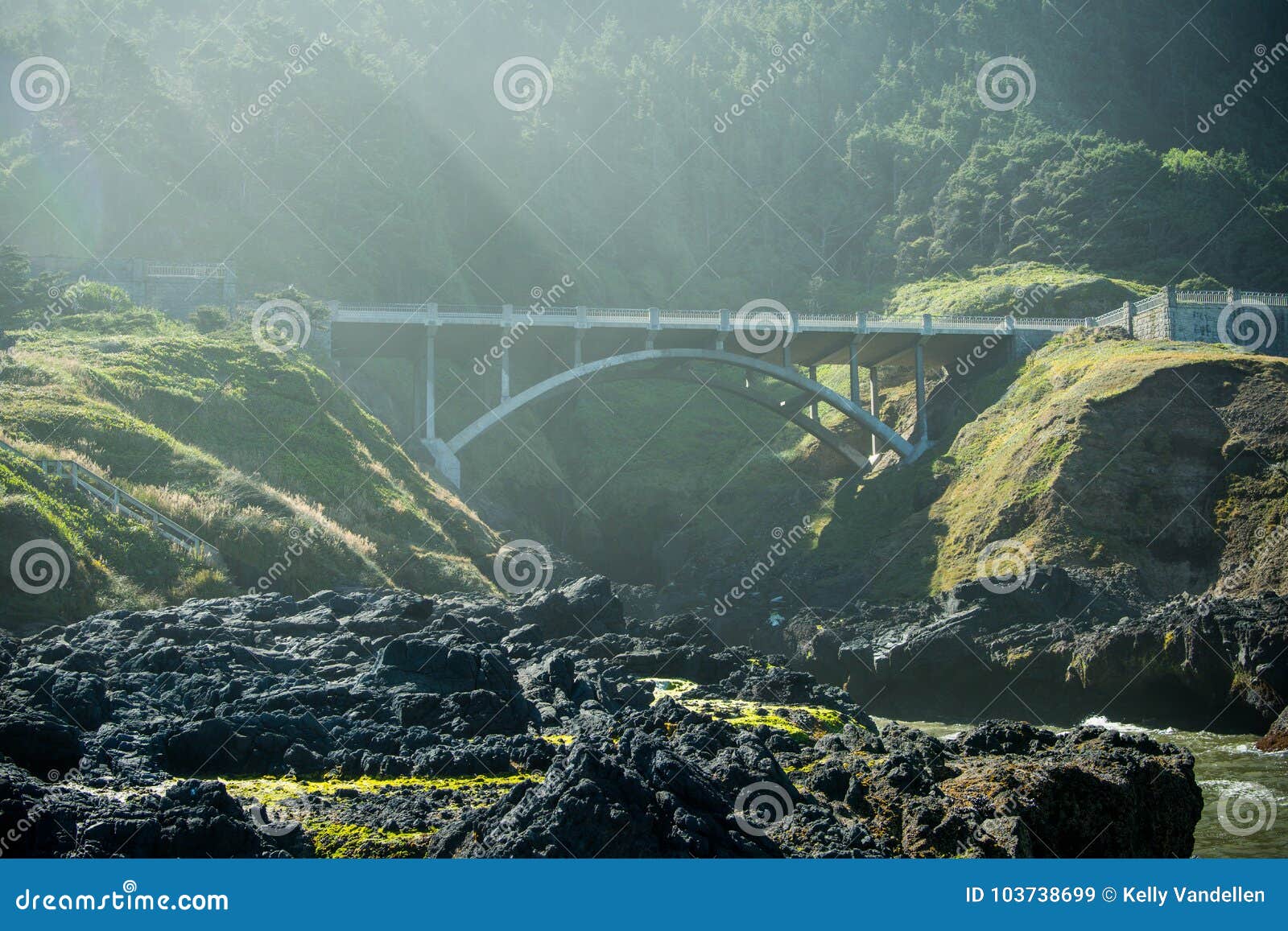 Bridge Over Cooks Chasm stock image. Image of pool, coastal - 103738699
