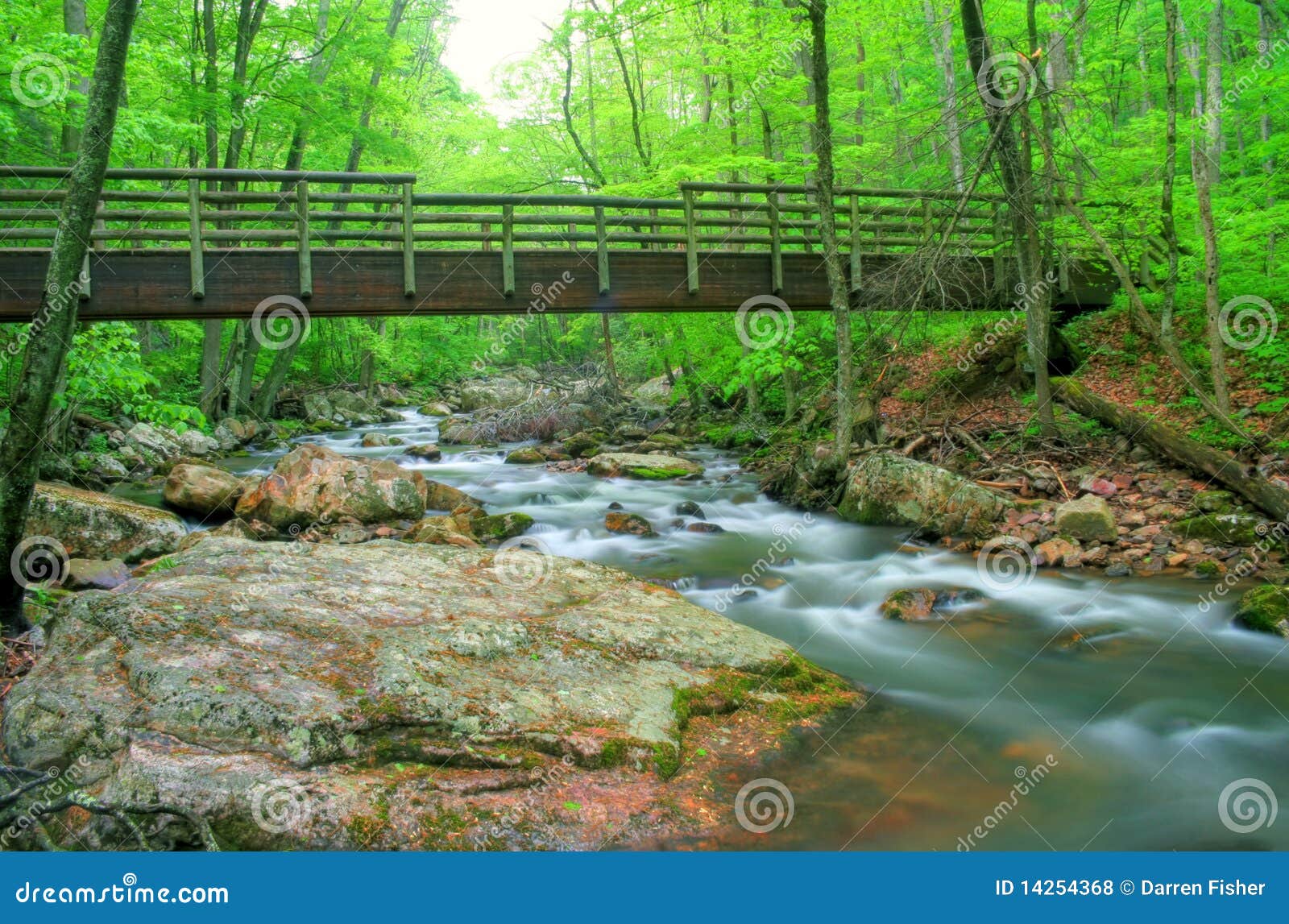 Bridge over Creek stock photo. Image of green, moss, foot - 14254368