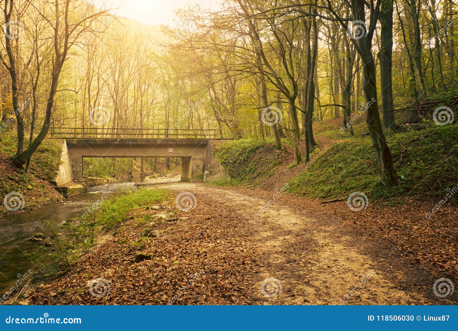 Bridge in the Autumn Forest Stock Photo - Image of morning, nature ...