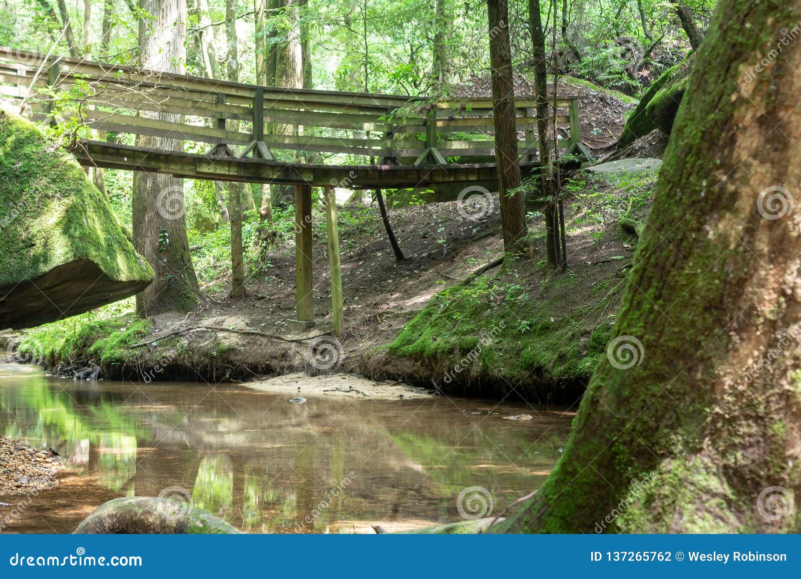 Bridge over creek stock photo. Image of branch, bridge - 137265762