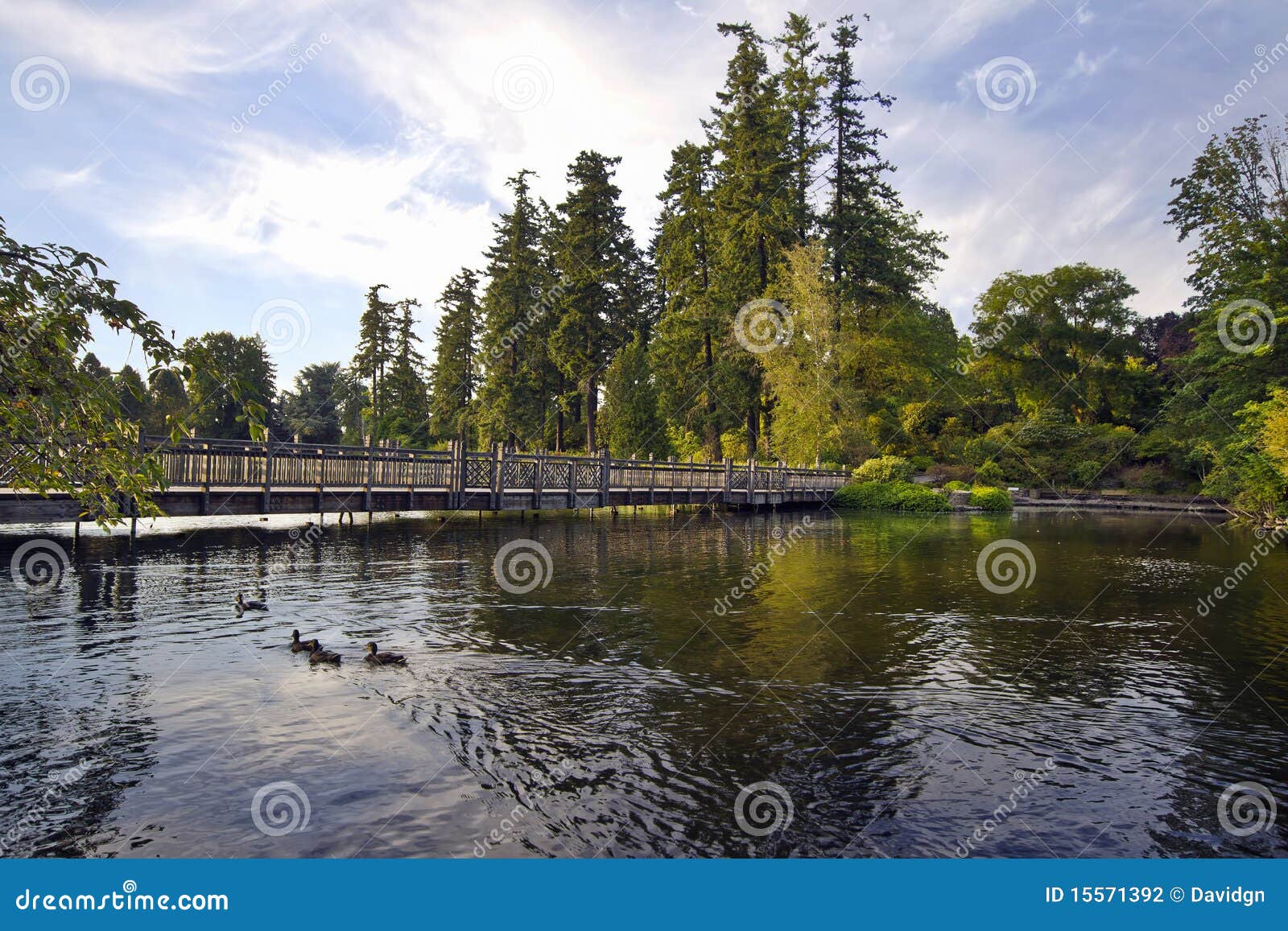 Bridge Over Crystal Springs Lake Stock Photo - Image of garden, crystal ...