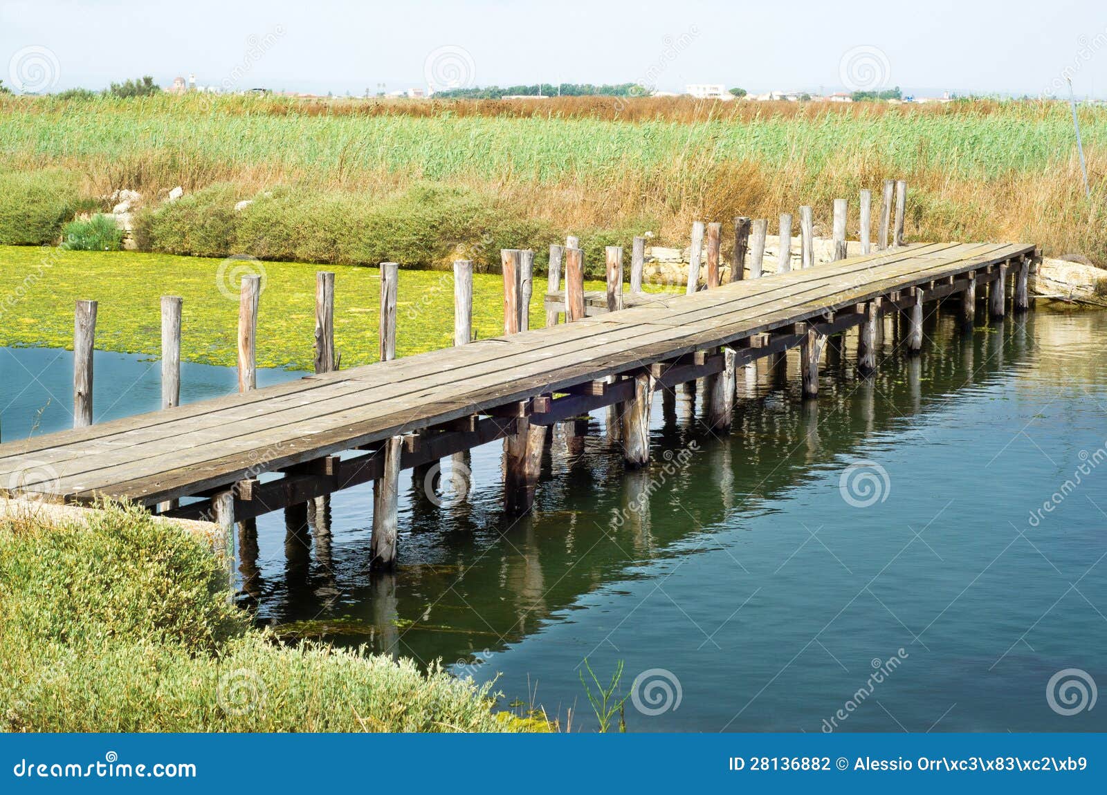 Bridge over the fish pond stock photo. Image of water - 28136882