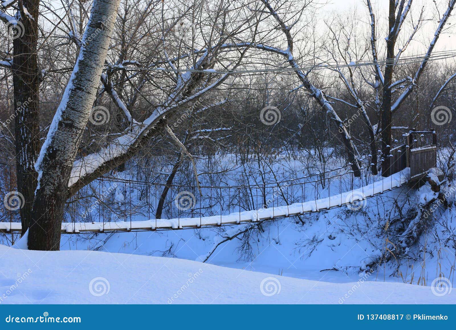 Bridge Over Frozen River in Winter Forest Stock Image - Image of ...