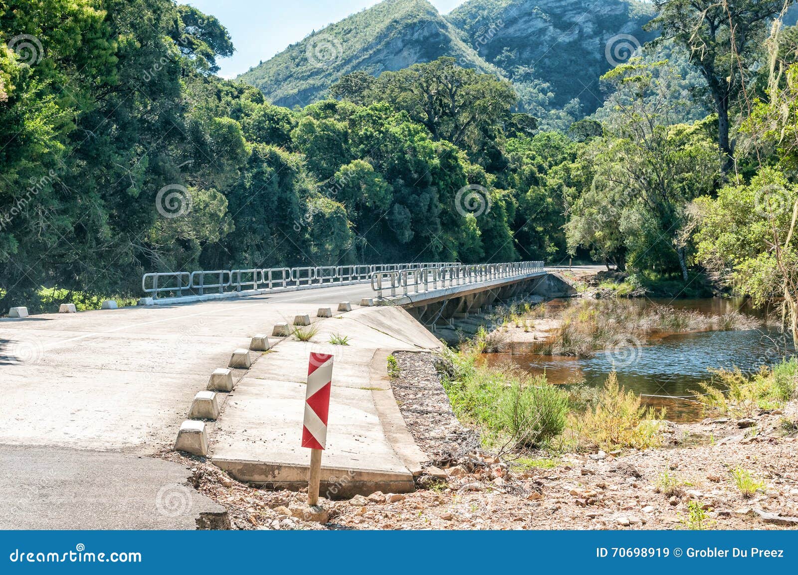 Bridge Over the Grootrivier Stock Image - Image of podocarpus, western ...