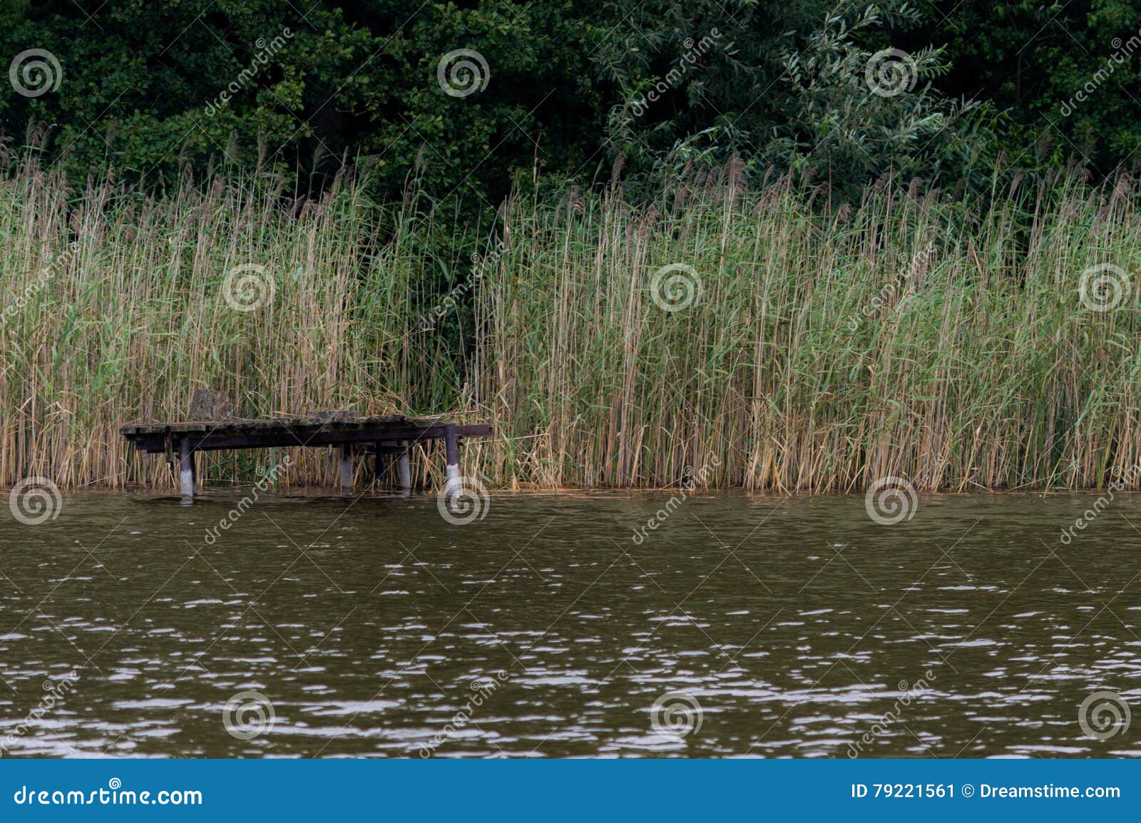 Bridge Over the Lake in a Cane Stock Image - Image of lake, white: 79221561