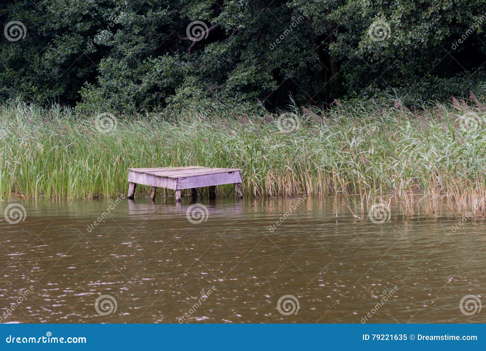 Bridge Over the Lake in a Cane Stock Image - Image of pond, shore: 79221635