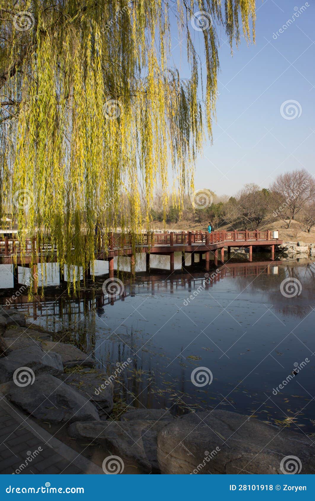 Bridge over lake in park stock photo. Image of greenery - 28101918