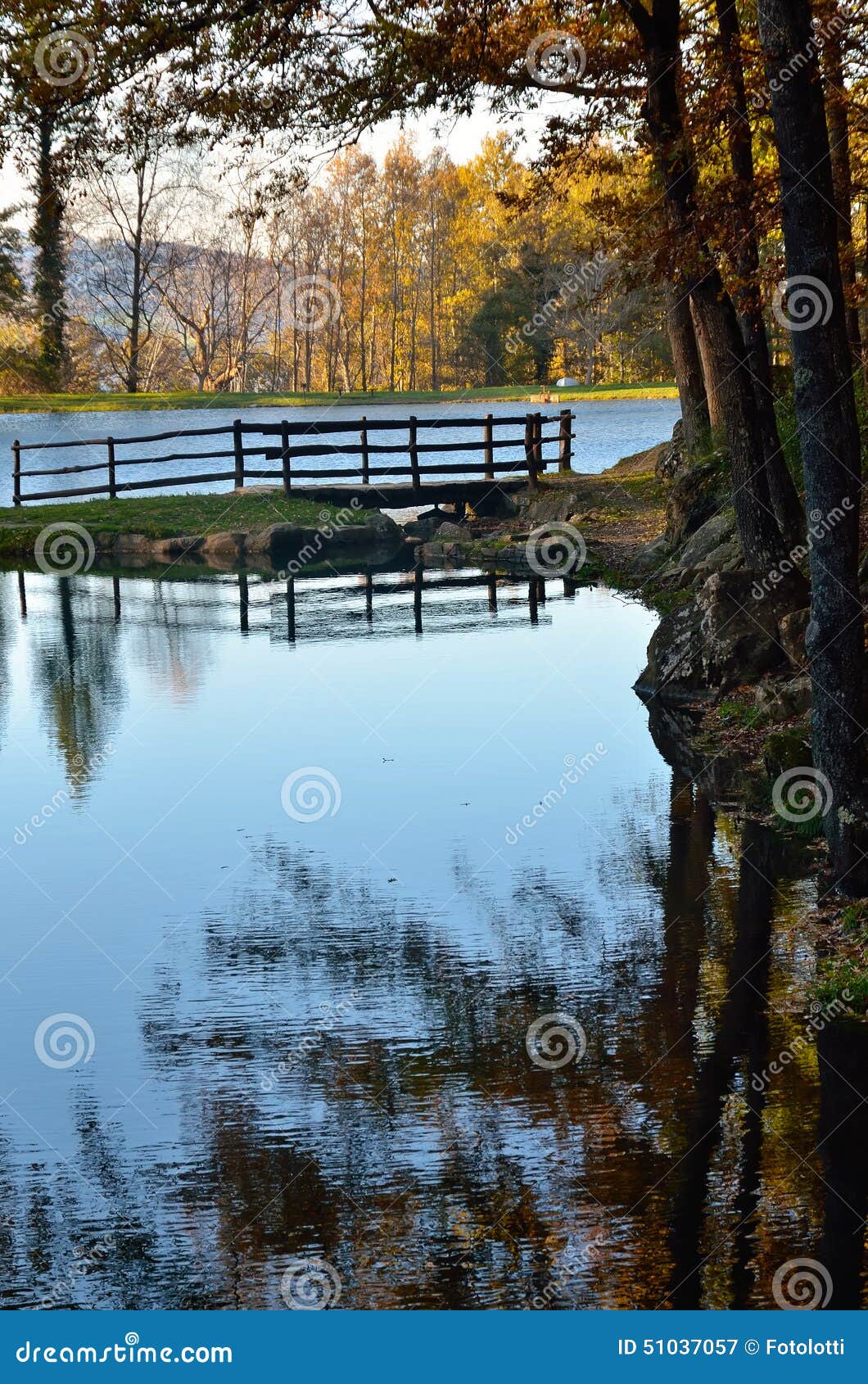 Bridge over the lake stock image. Image of season, tropical - 51037057