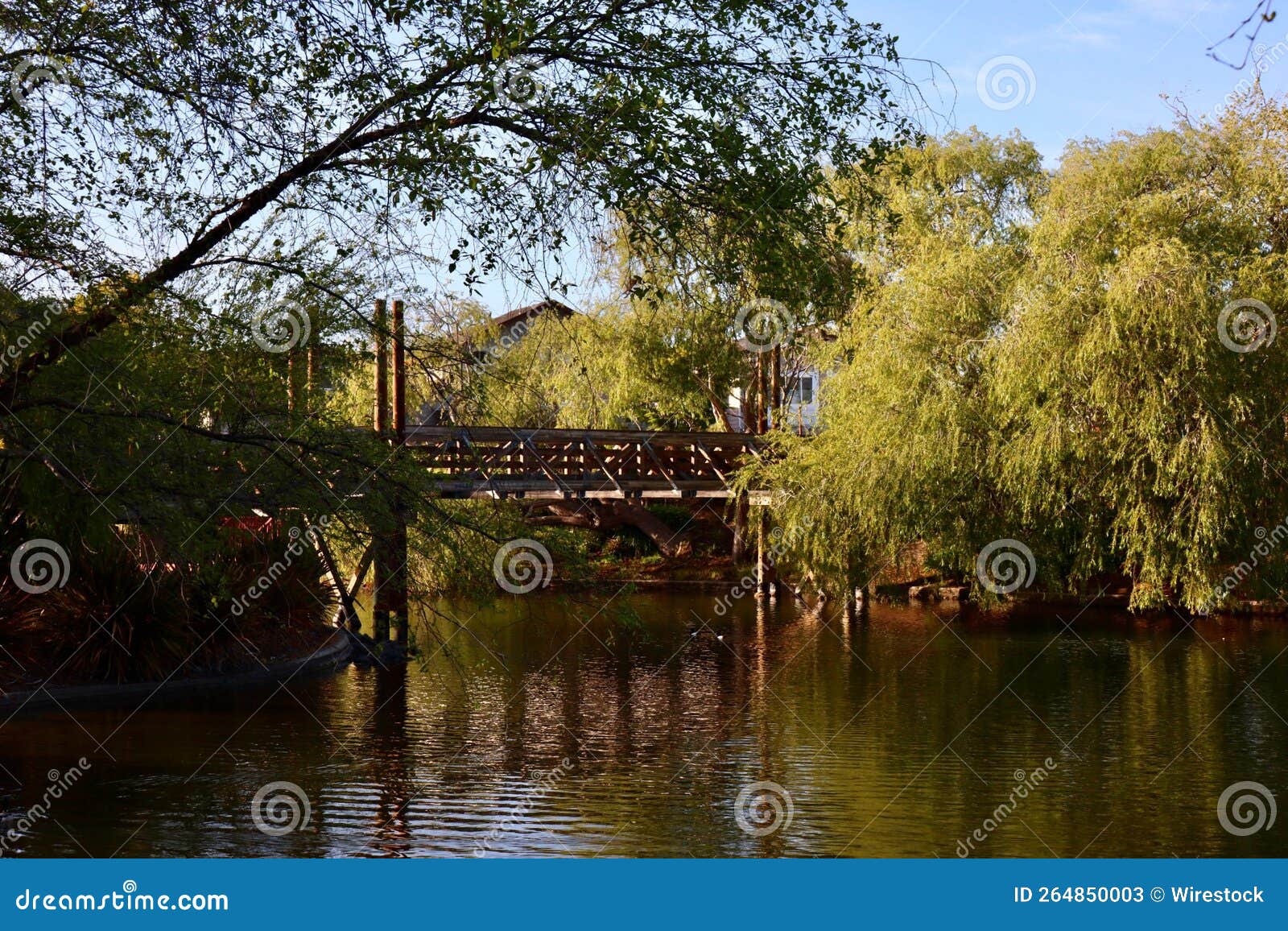 Bridge Over a Lake Surrounded by Trees Stock Image - Image of wood ...