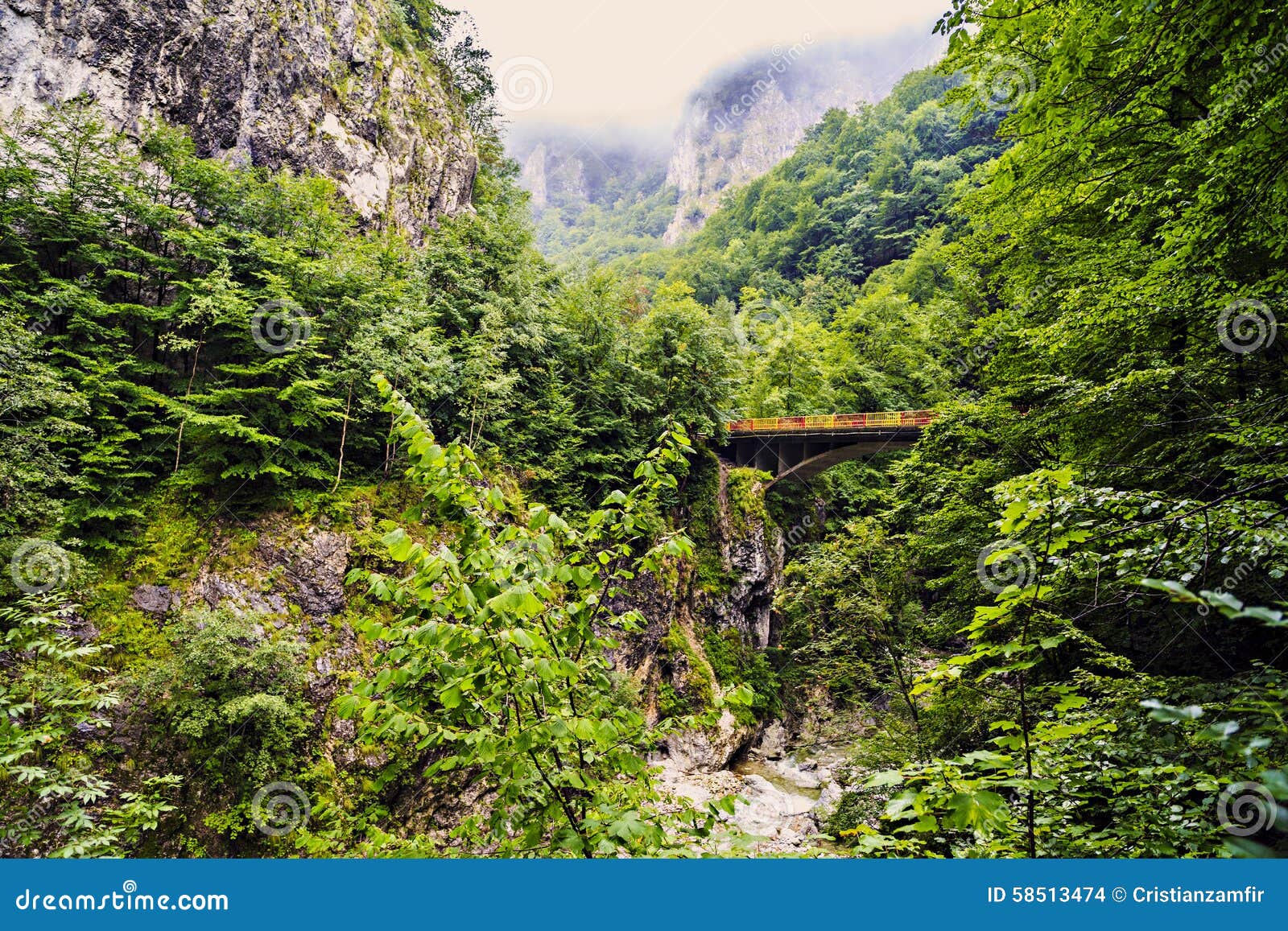 Bridge Over a Mountain River Stock Photo - Image of river, green: 58513474