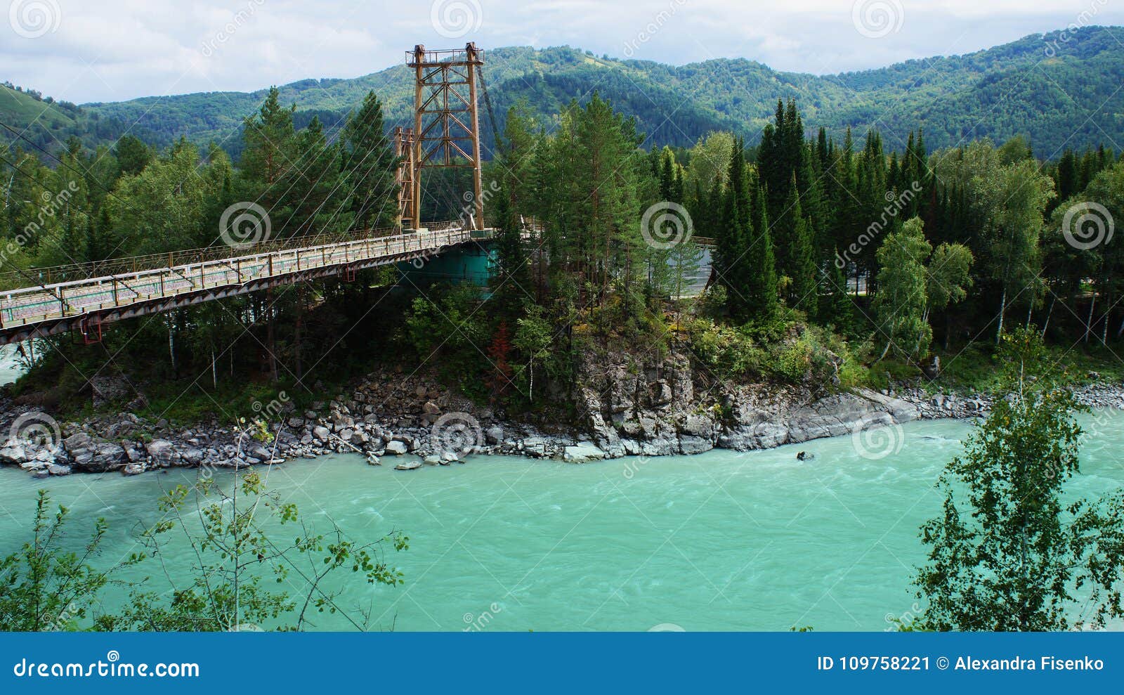 Bridge Over the Mountain River Stock Image - Image of needles ...