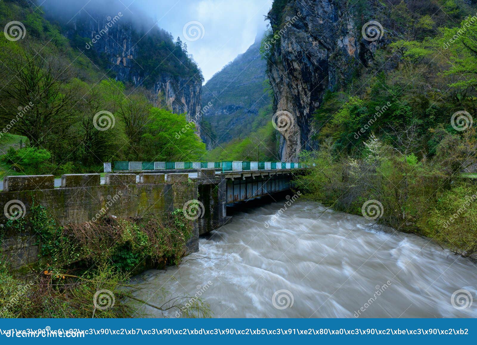 Bridge Over a Mountain River Editorial Image - Image of river, mountain ...