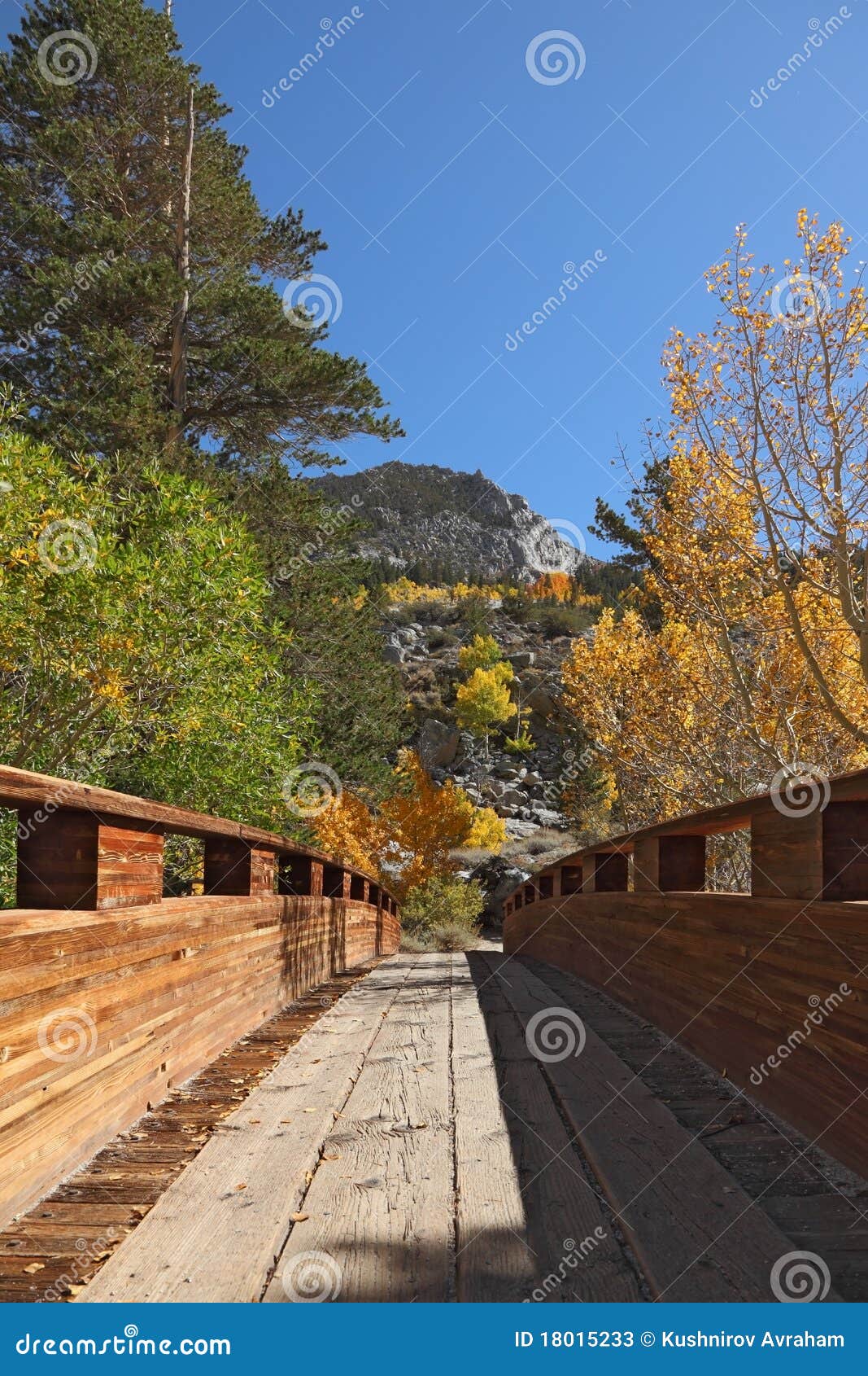 A Bridge Over a Mountain Stream Stock Image - Image of color, foot ...