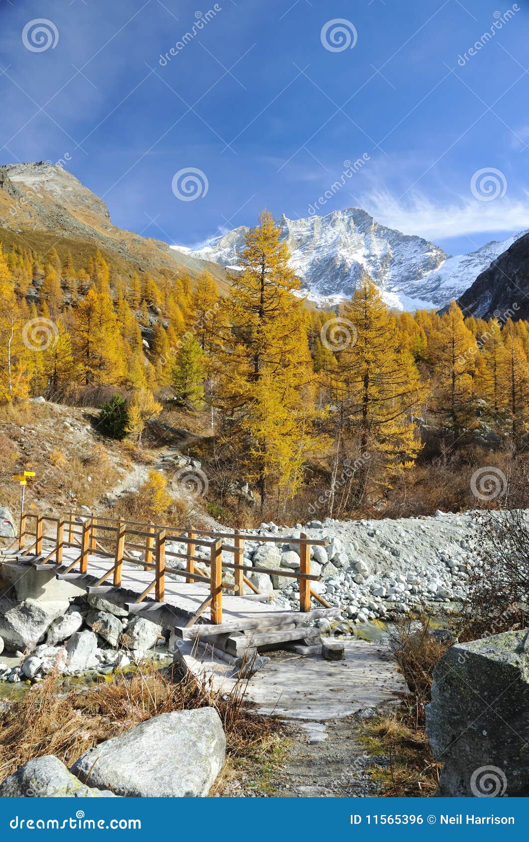 Bridge Over Mountains Stream Stock Photo - Image of branches, nature ...