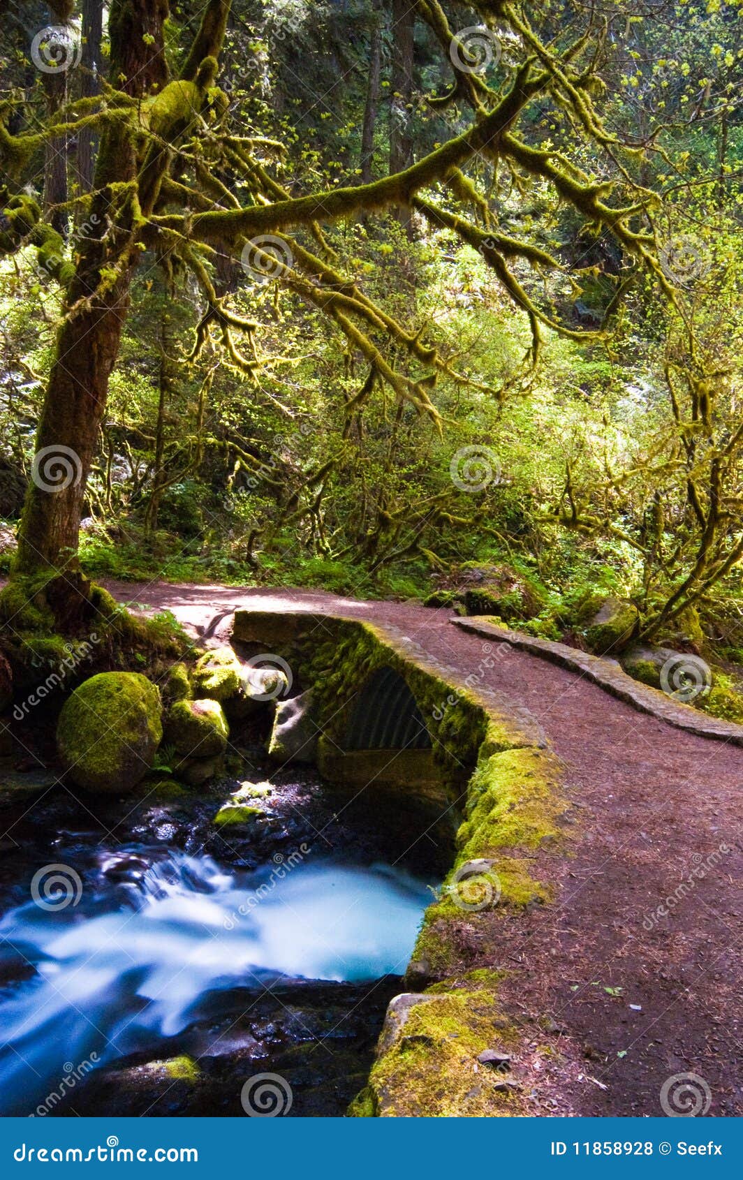 Bridge Over Multnomah Falls Head Water Stock Photo - Image of stream ...