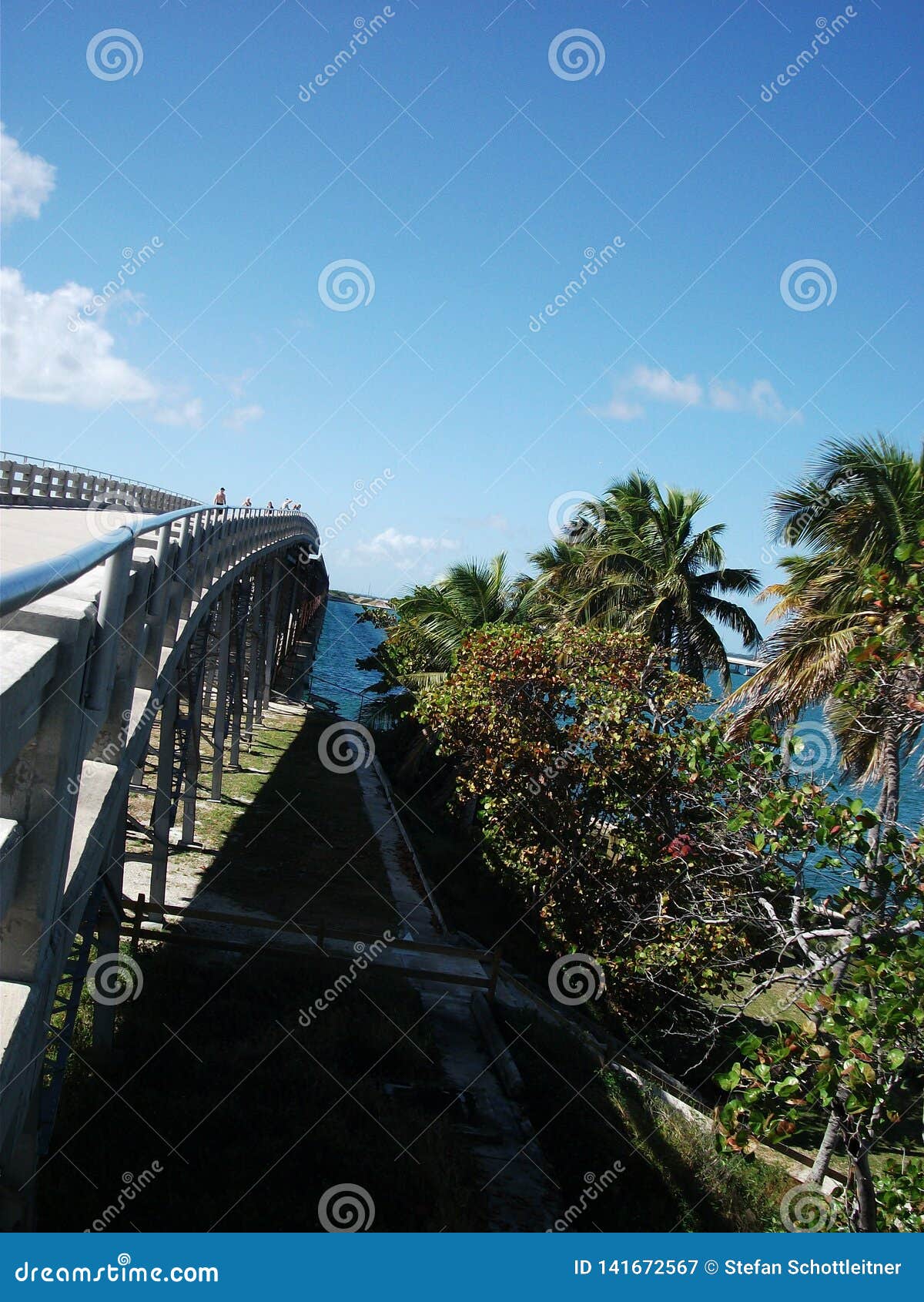 A Bridge Over the Ocean with Palms Stock Image - Image of metallic ...