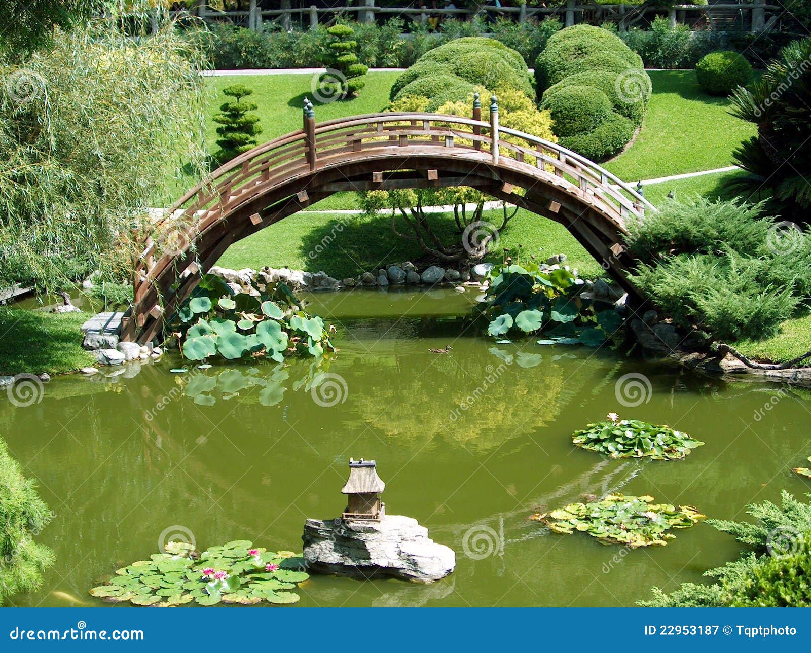 Bridge over Pond stock image. Image of bridge, curved - 22953187