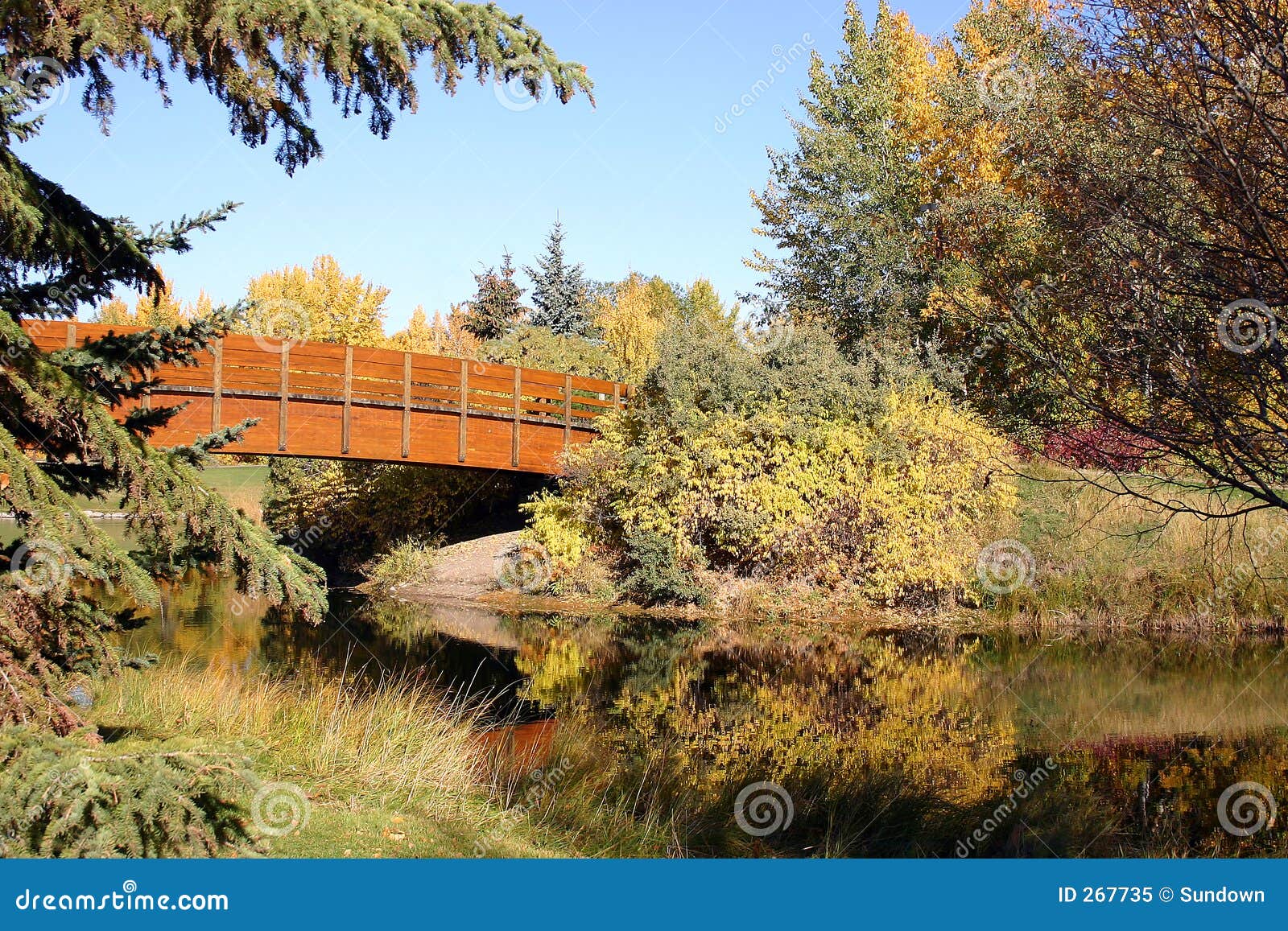 Bridge Over Pond stock image. Image of autumn, outdoors - 267735