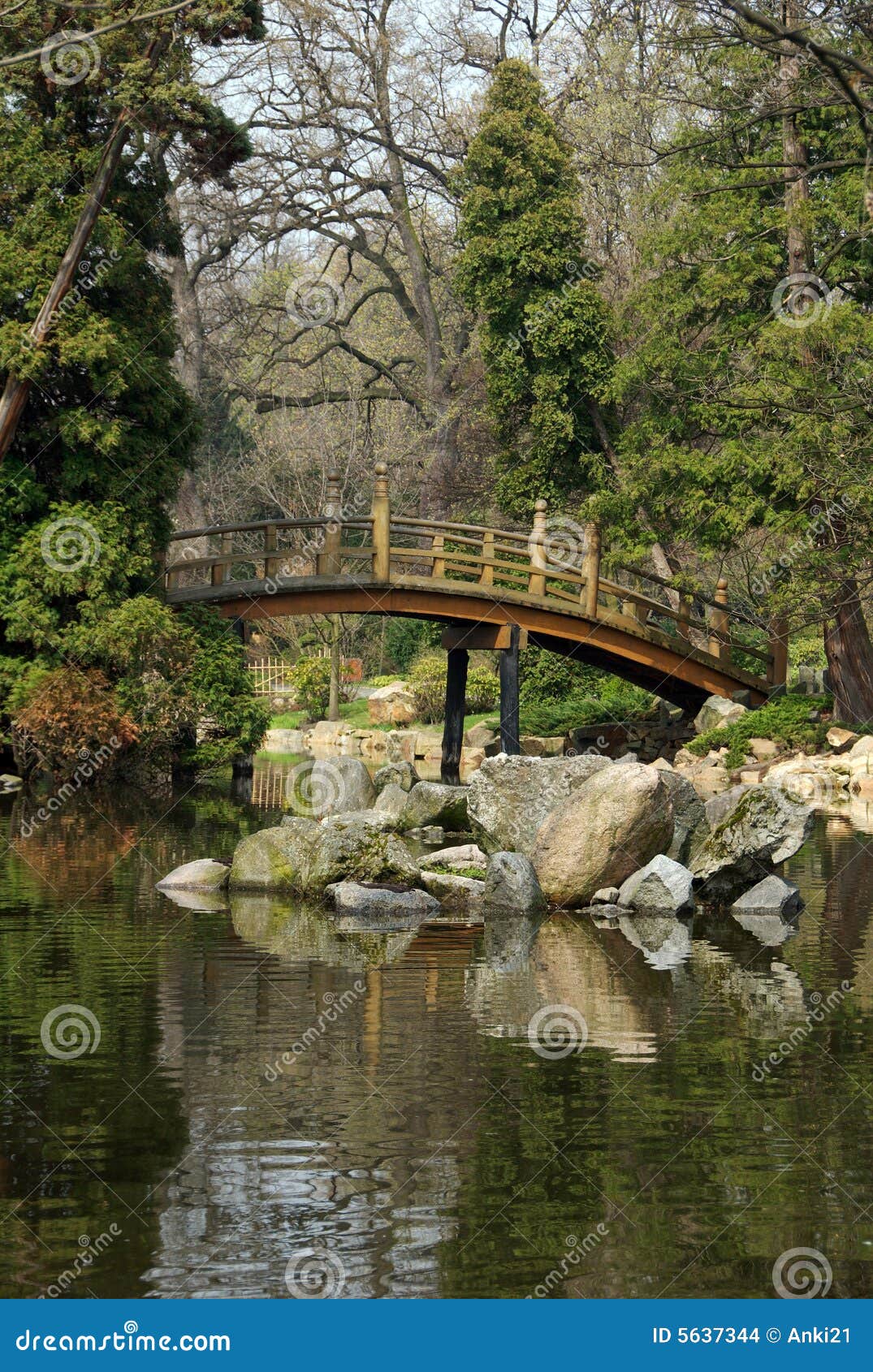 Bridge over the pond stock photo. Image of green, cute - 5637344
