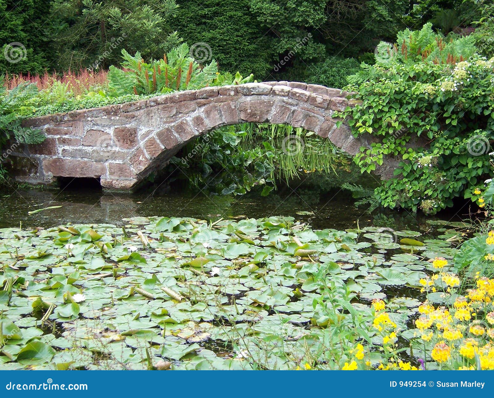 Bridge Over Pond Stock Images - Image: 949254
