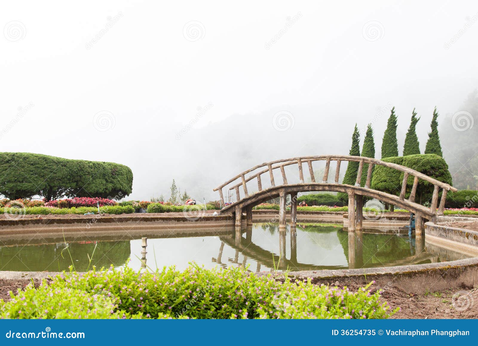 Bridge over pond stock image. Image of natural, nature - 36254735