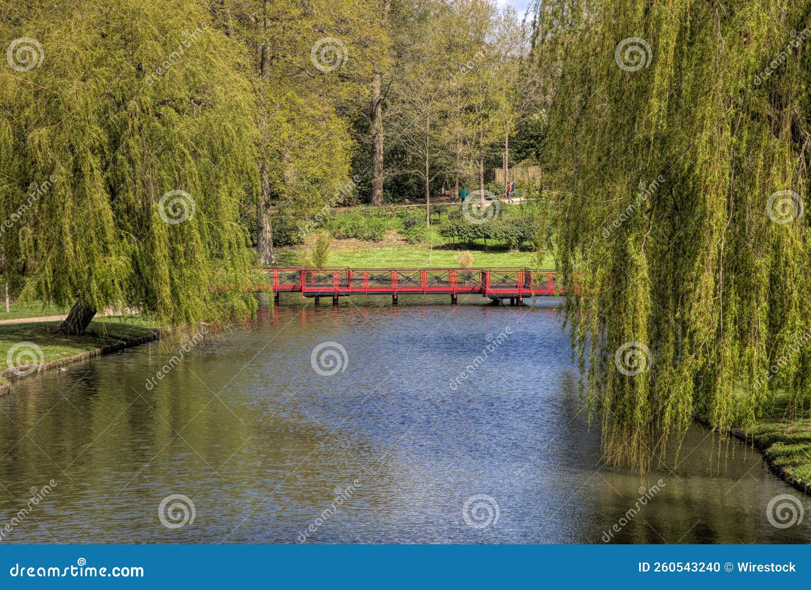 Bridge Over the Pond in a Park Stock Photo - Image of water, pond ...