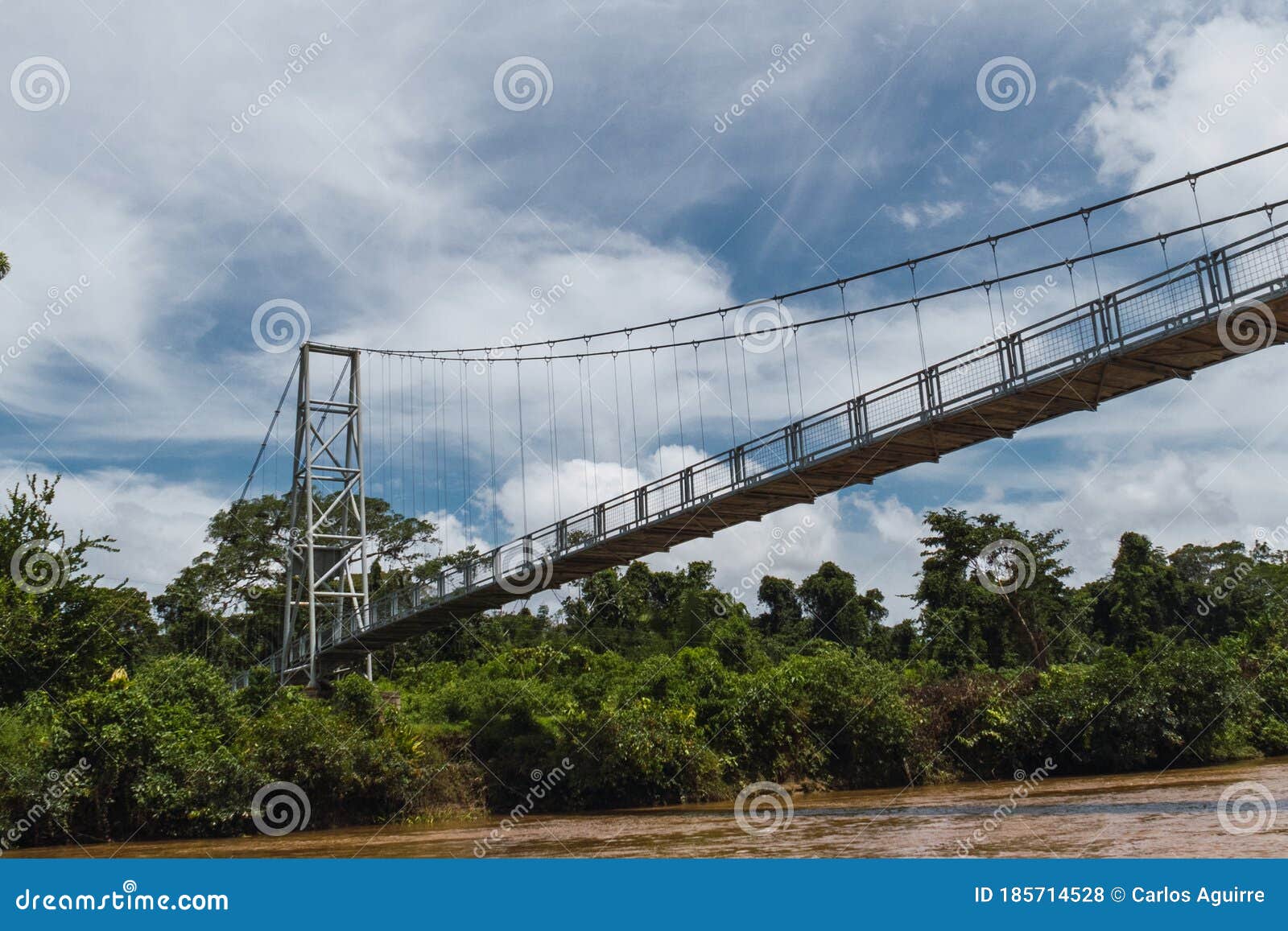 Bridge Over the River in the Amazon, Metal Structure, Large Bridges ...