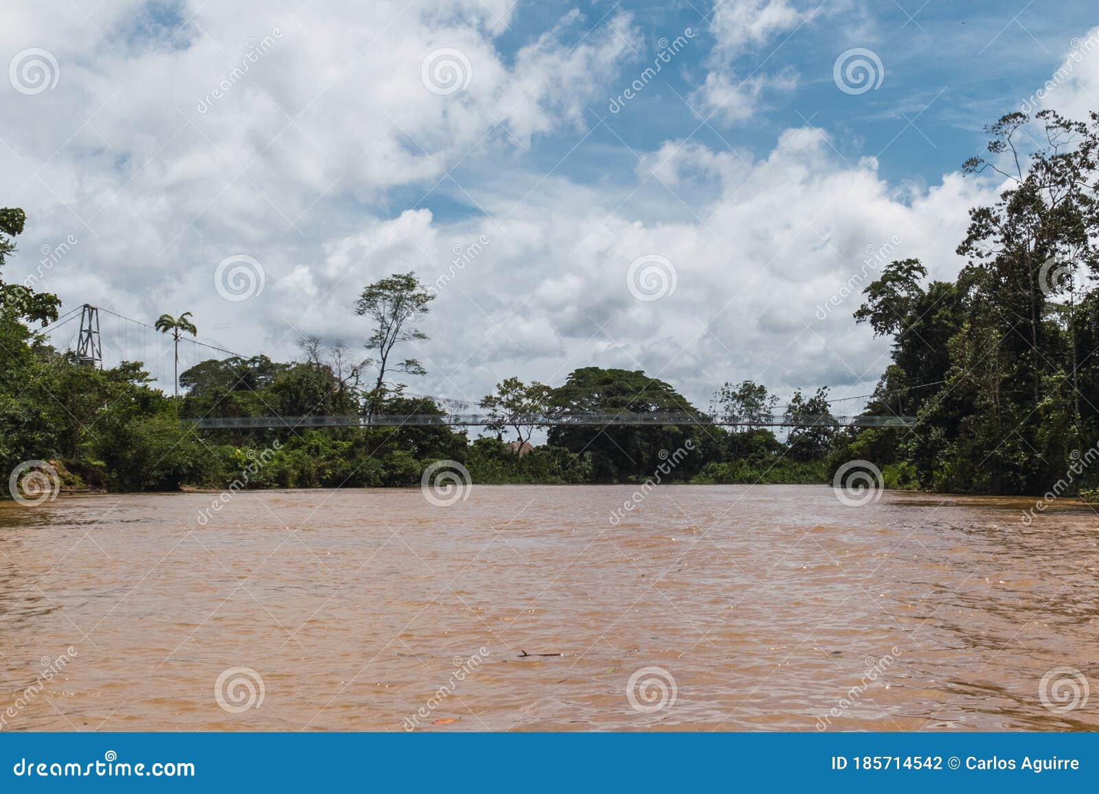 Bridge Over the River in the Amazon, Metal Structure, Large Bridges ...
