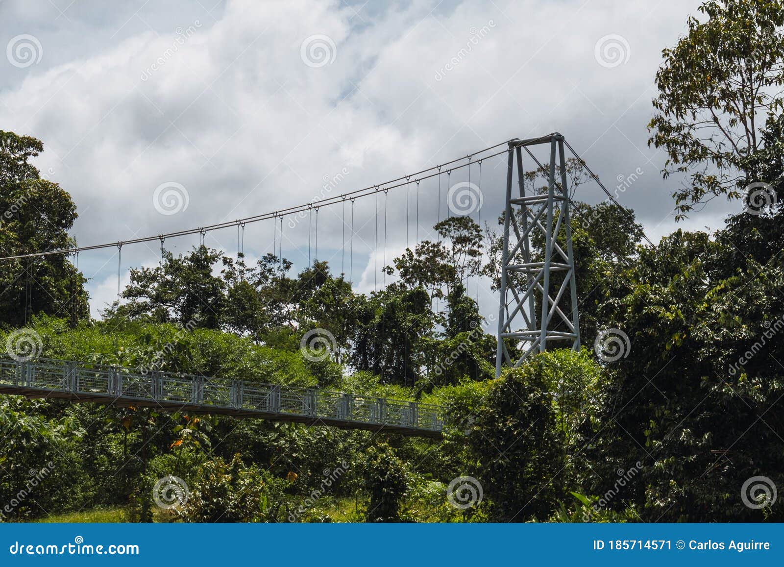Bridge Over the River in the Amazon, Metal Structure, Large Bridges ...