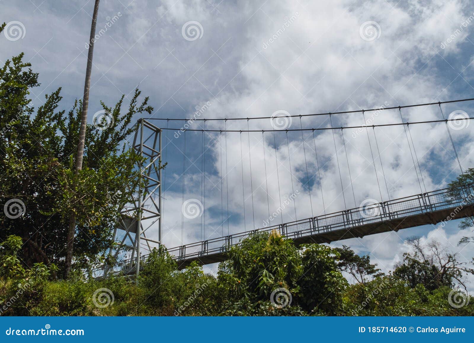 Bridge Over the River in the Amazon, Metal Structure, Large Bridges ...