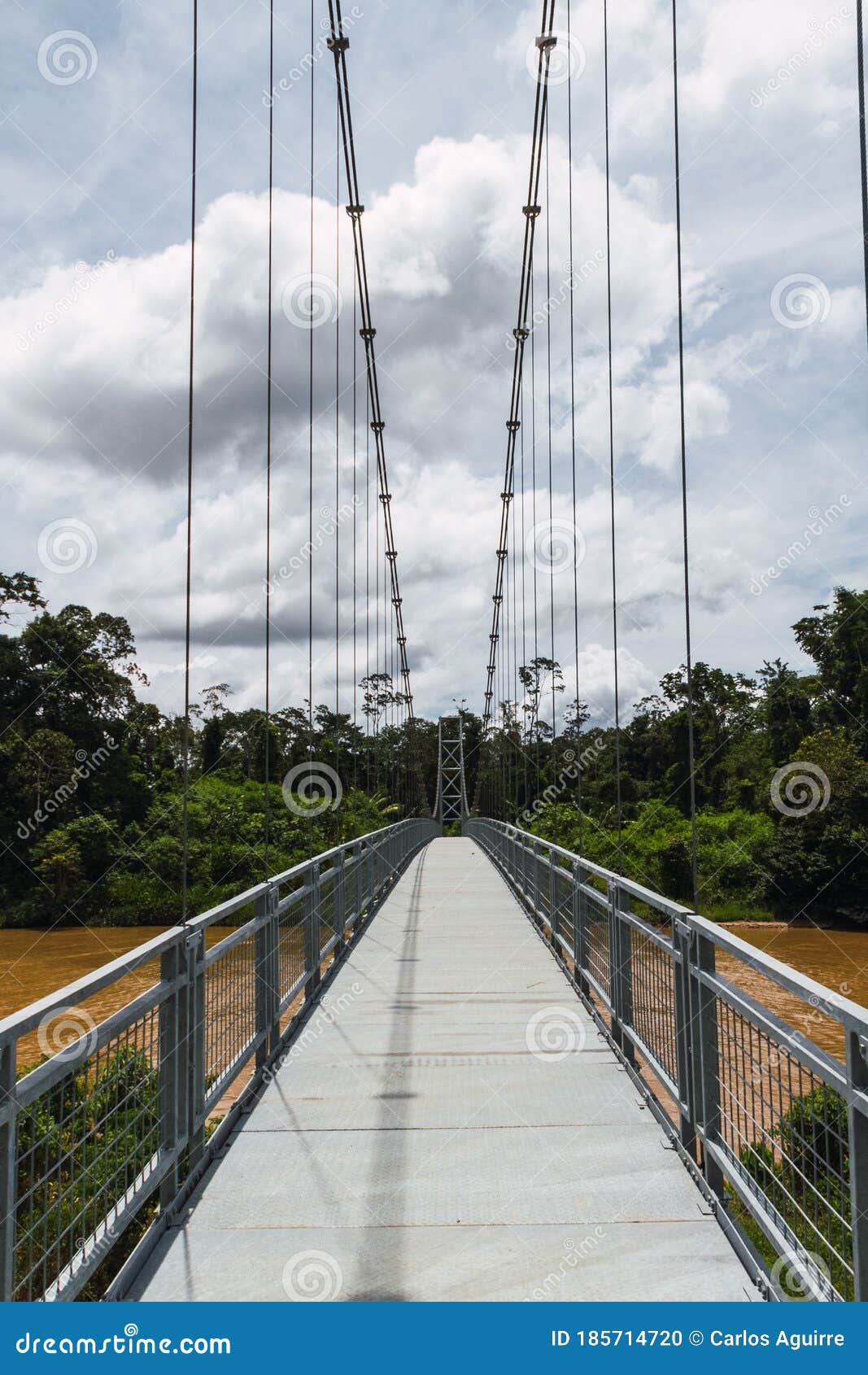Bridge Over the River in the Amazon, Metal Structure, Large Bridges ...