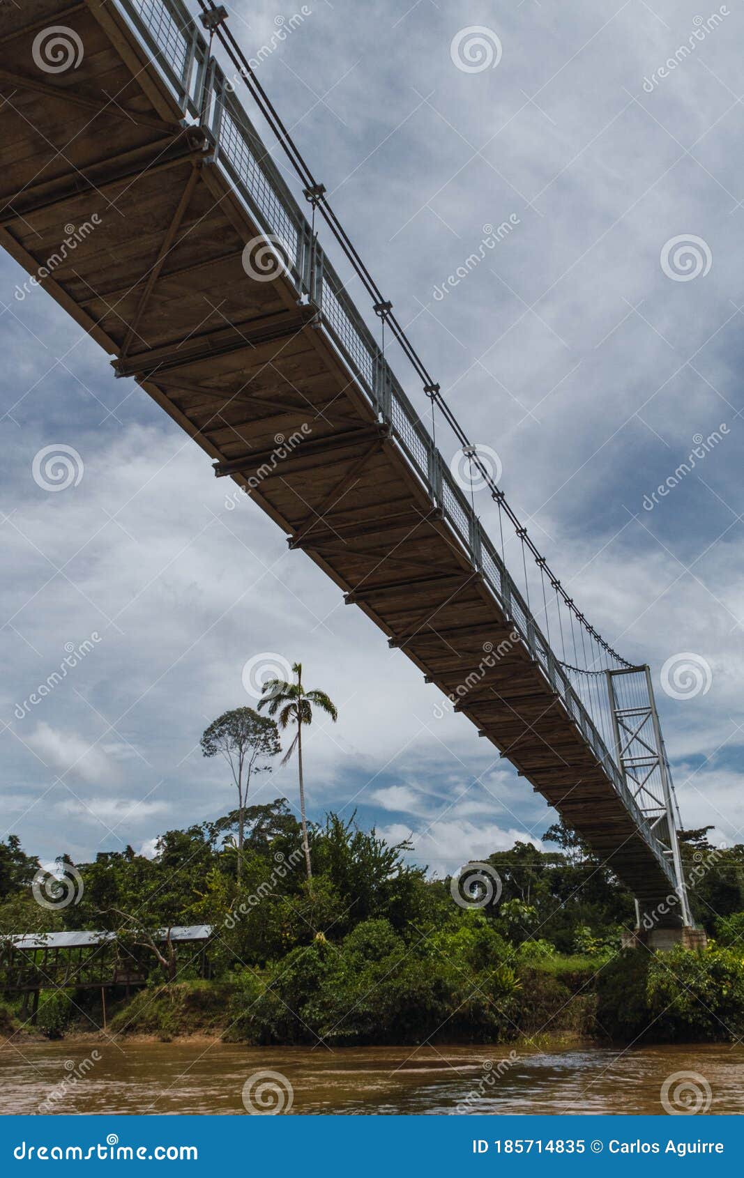 Bridge Over the River in the Amazon, Metal Structure, Large Bridges ...