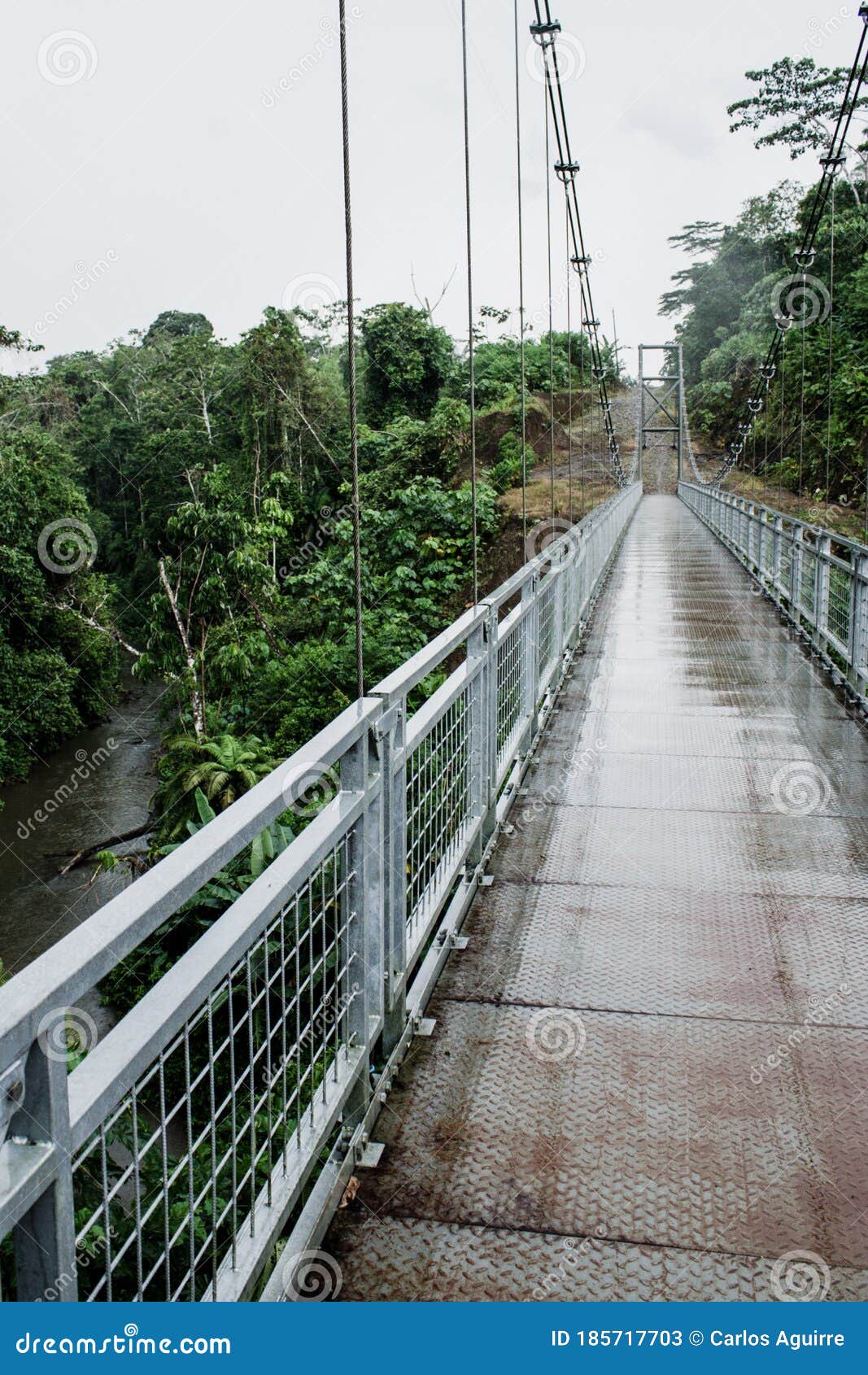 Bridge Over the River in the Amazon, Metal Structure, Large Bridges ...