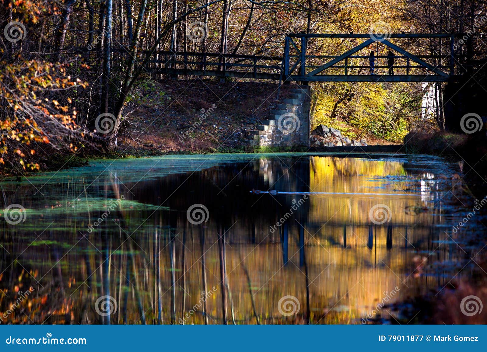 Bridge Over River at Autumn Stock Image - Image of glow, autumn: 79011877