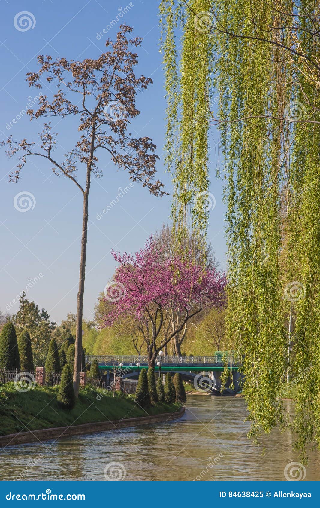 Bridge Over the River in the Centre of the Tashkent, Uzbekistan. Stock ...