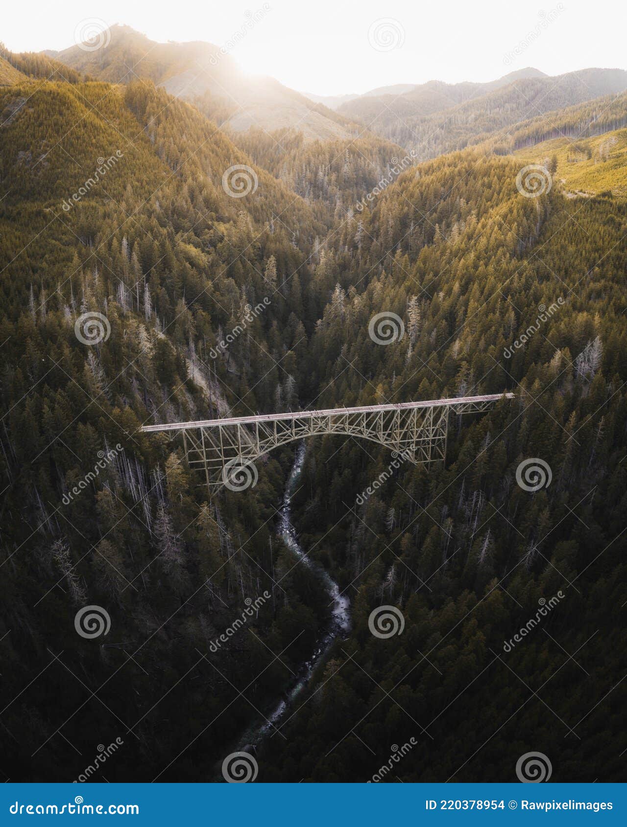 Bridge Over a River in a Forest Stock Photo - Image of drone ...