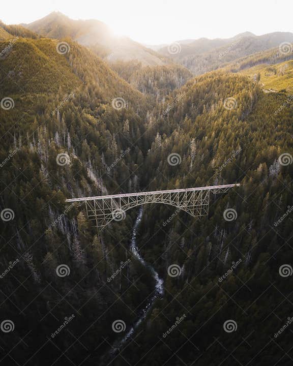 Bridge Over a River in a Forest Stock Photo - Image of drone ...