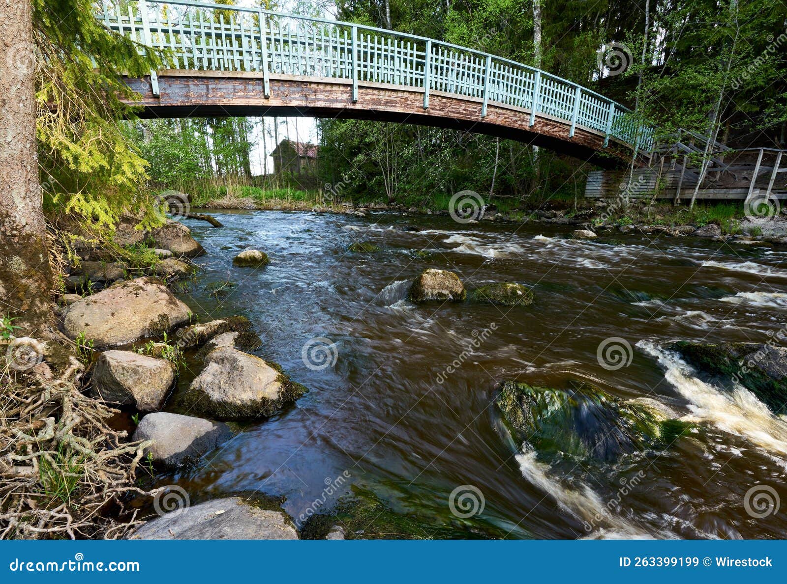 Bridge Over the River in a Forest Stock Image - Image of green, wild ...