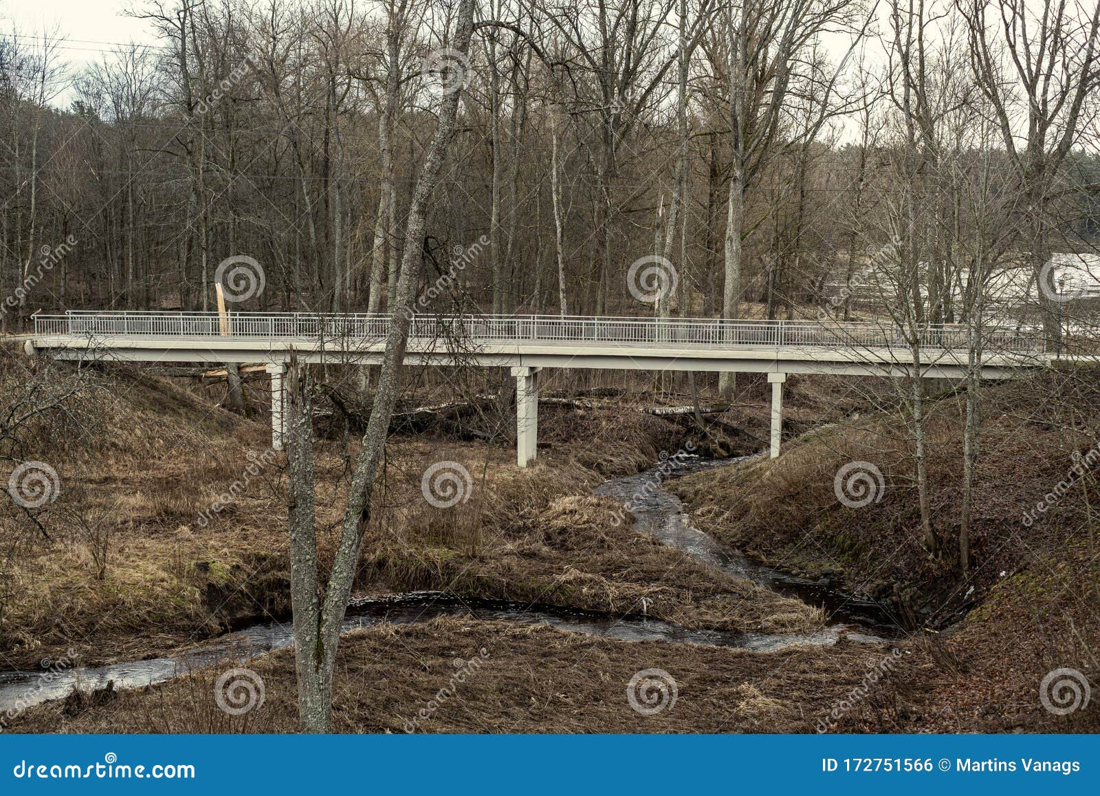 Bridge Over the River in Forest Stock Photo - Image of fall, travel ...