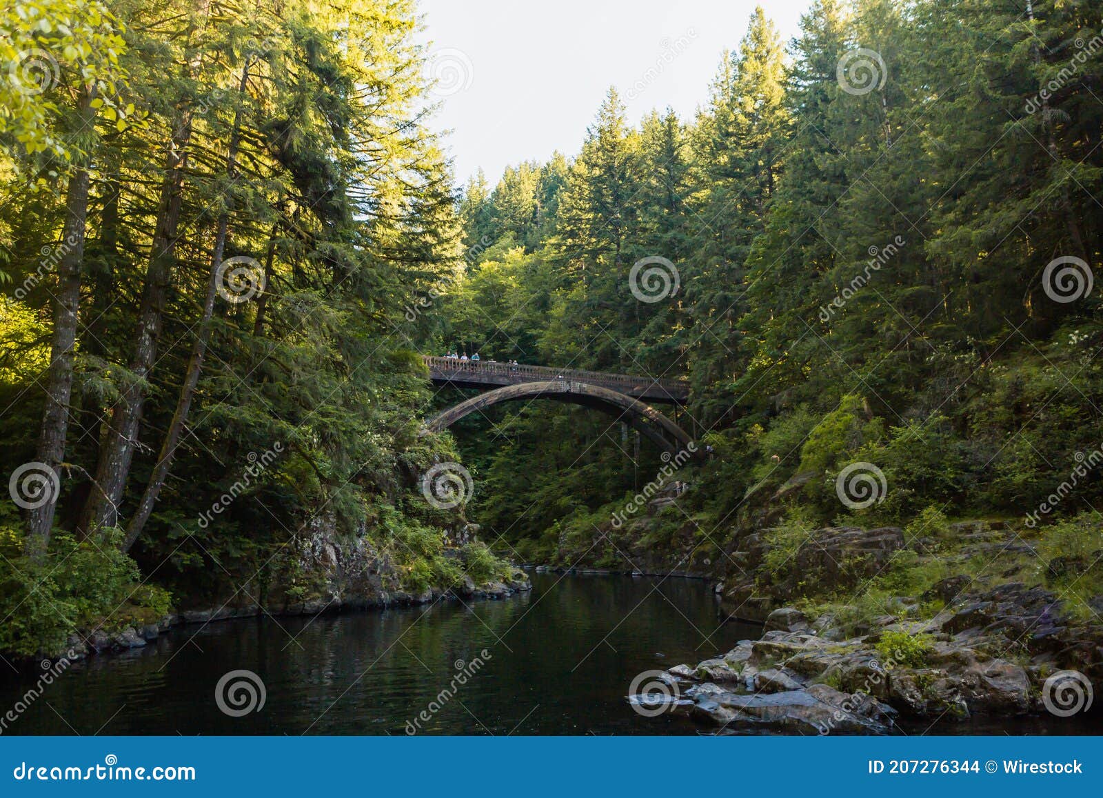 Bridge Over a River in a Forest on a Sunny Stock Photo - Image of rocks ...