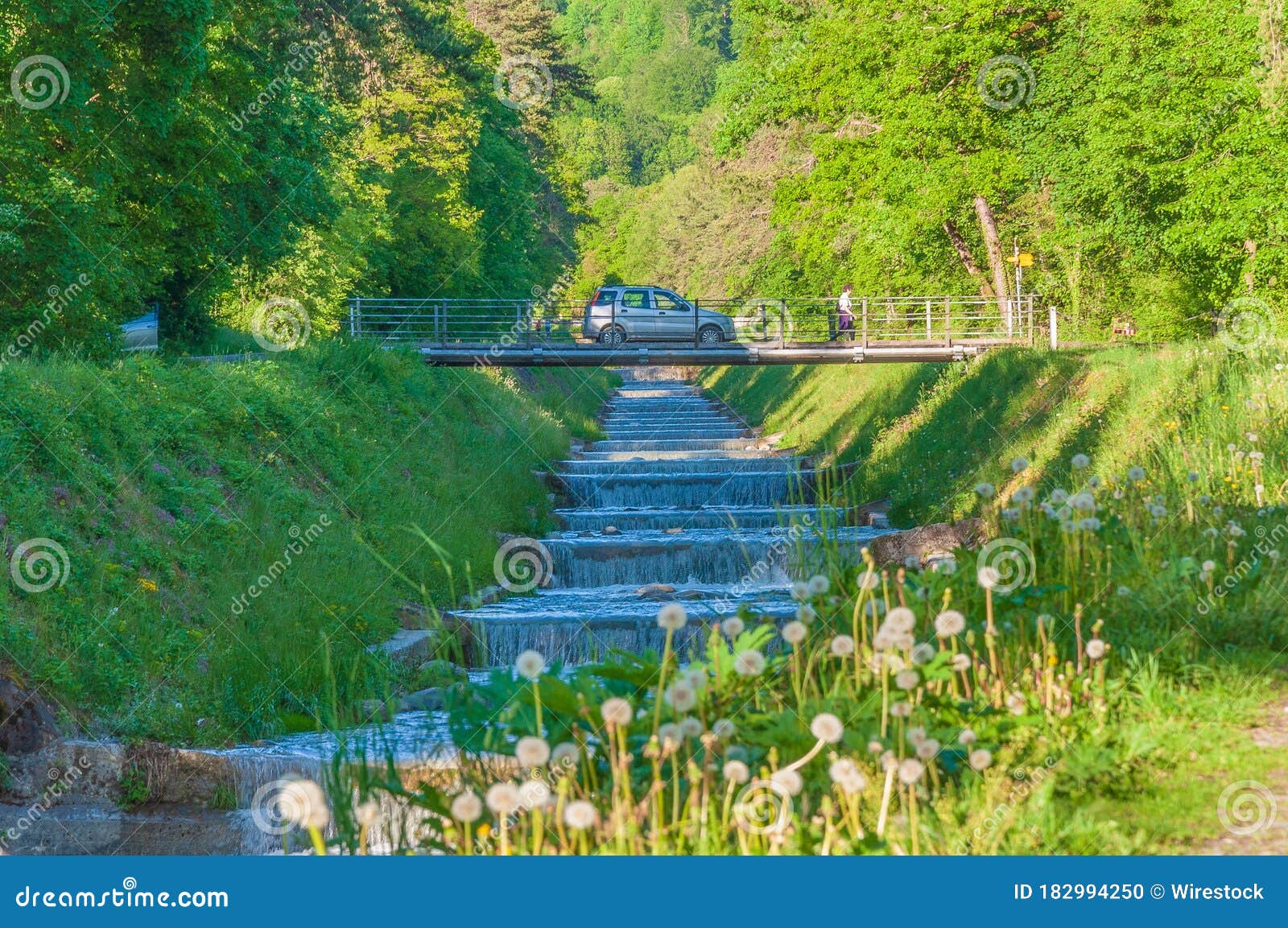 Bridge Over the River of Gryonne Surrounded by Beautiful Greenery in ...